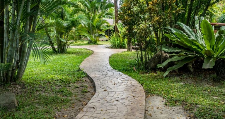 Alei din beton: Tipuri recomandate, Preț, Grosime recomandată - PAVEX